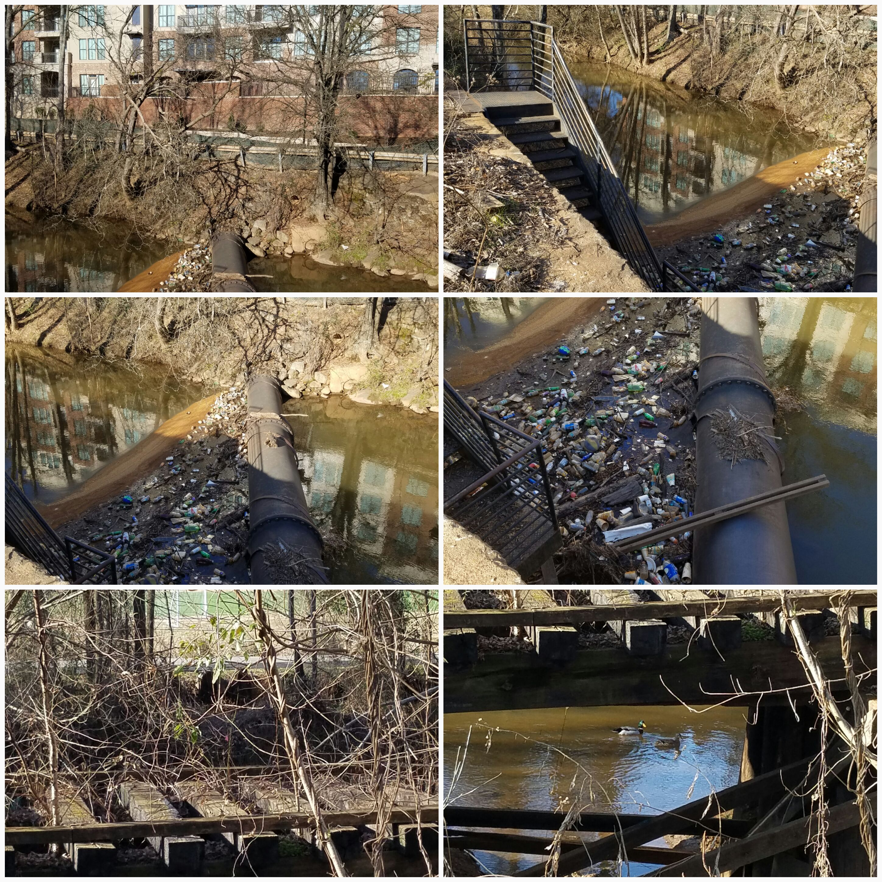 Why Protect the Reedy? | Reedy River