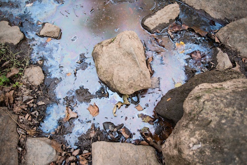 Friends of the Reedy River | Downtown River | Greenville, SC